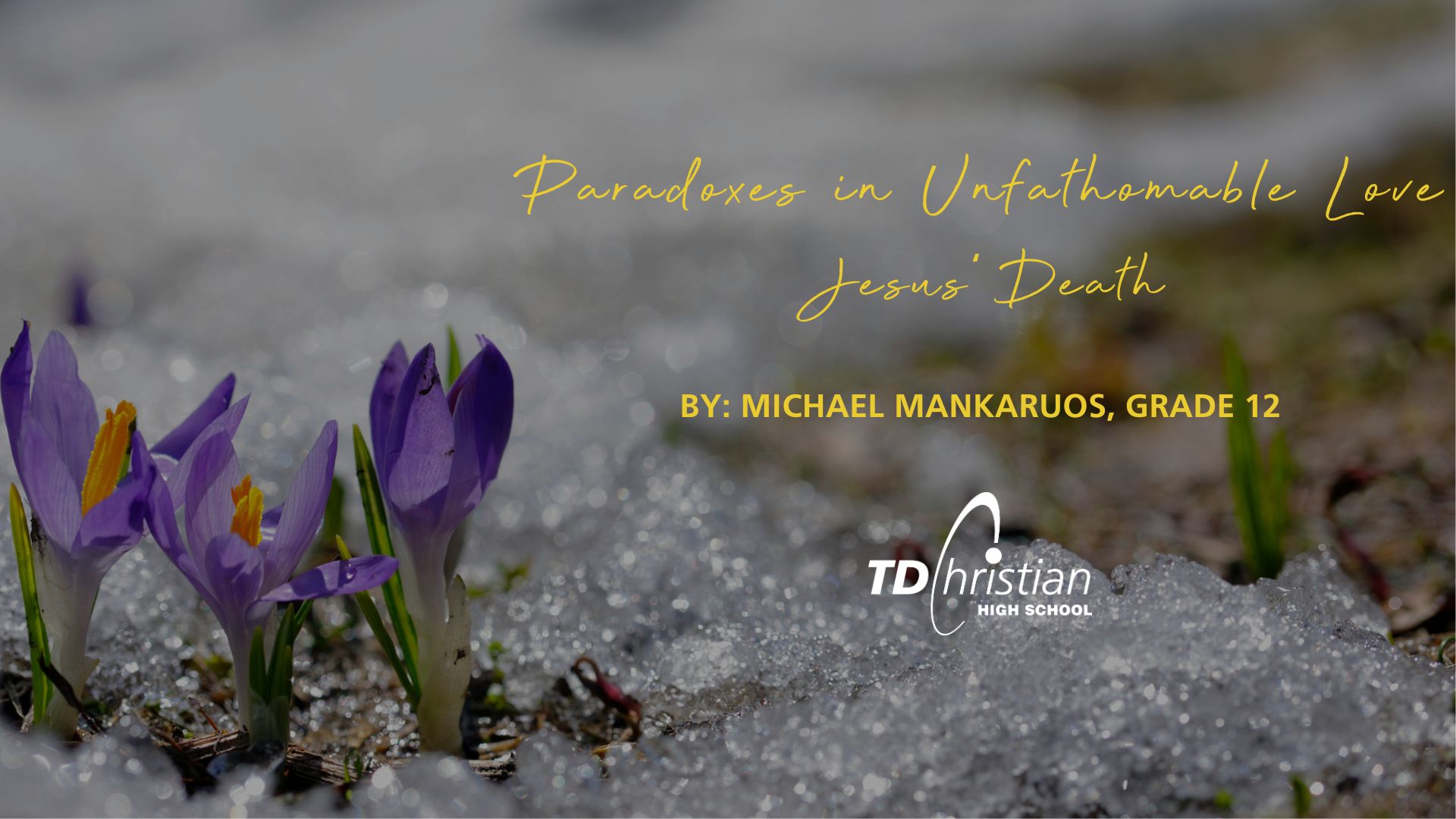 Devotion 7: Paradoxes in Unfathomable Love (Jesus’ Death) (Easter Devotions Project) - TDChristian